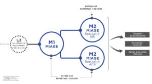 Parcours MIAGE - IDMC