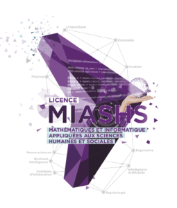 LICENCE MIASHS - IDMC