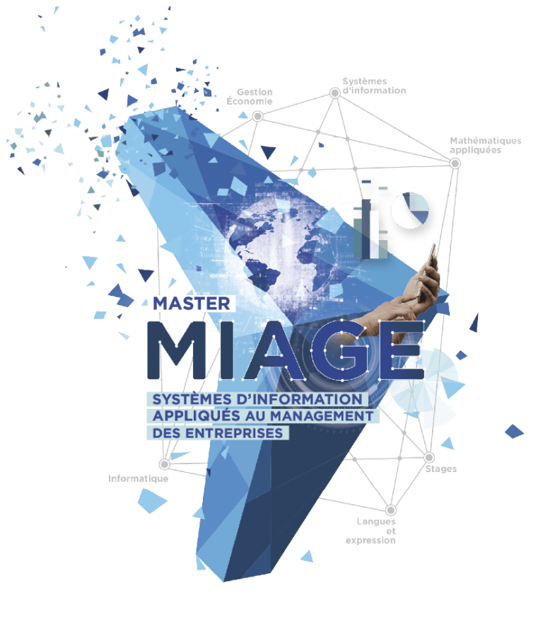 Licence 3 MIASHS - IDMC