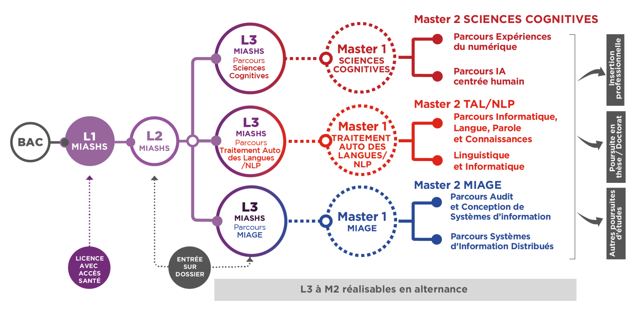 LICENCE MIASHS - IDMC